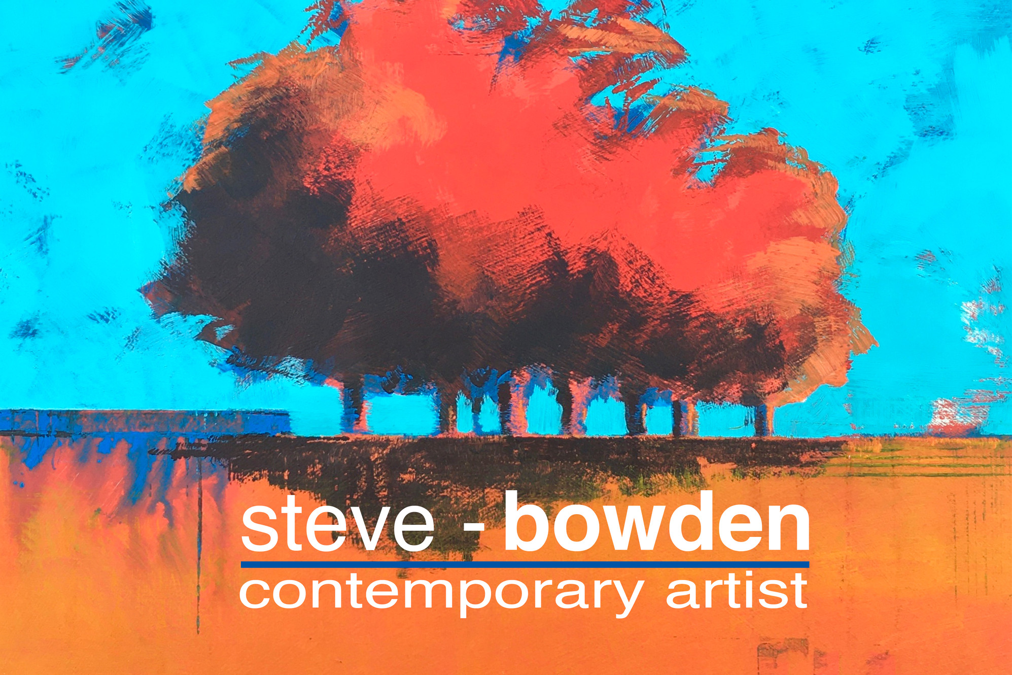 Steve Bowden Contemporary Artist